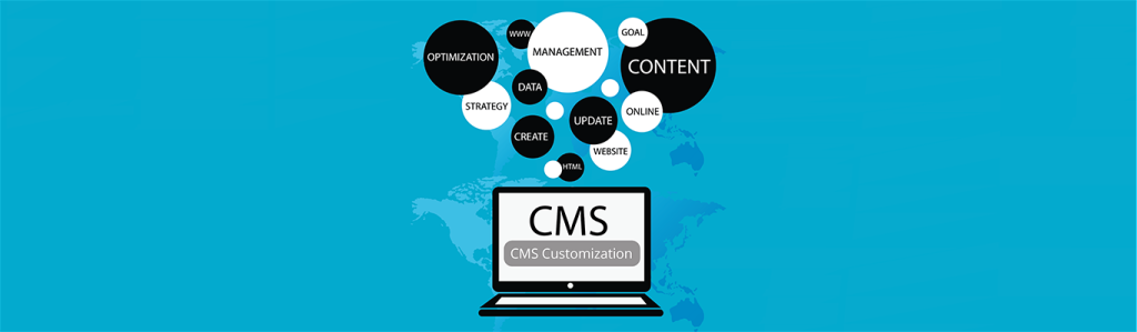 Cms Customization Website Designing Company Web Development Services